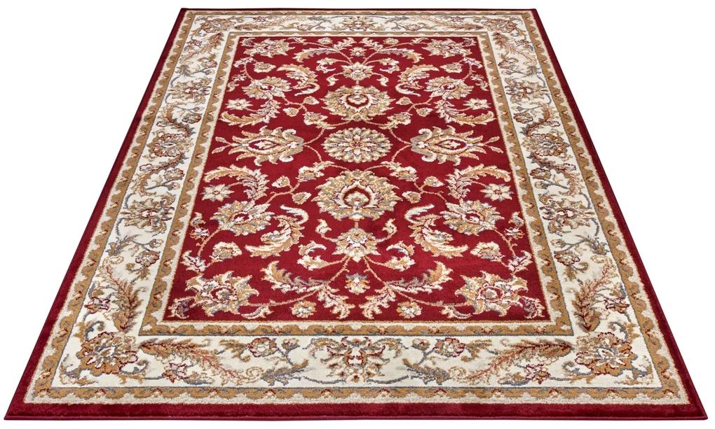 Hanse Home Collection koberce Kusový koberec Luxor 105642 Reni Red Cream ROZMĚR: 80x120