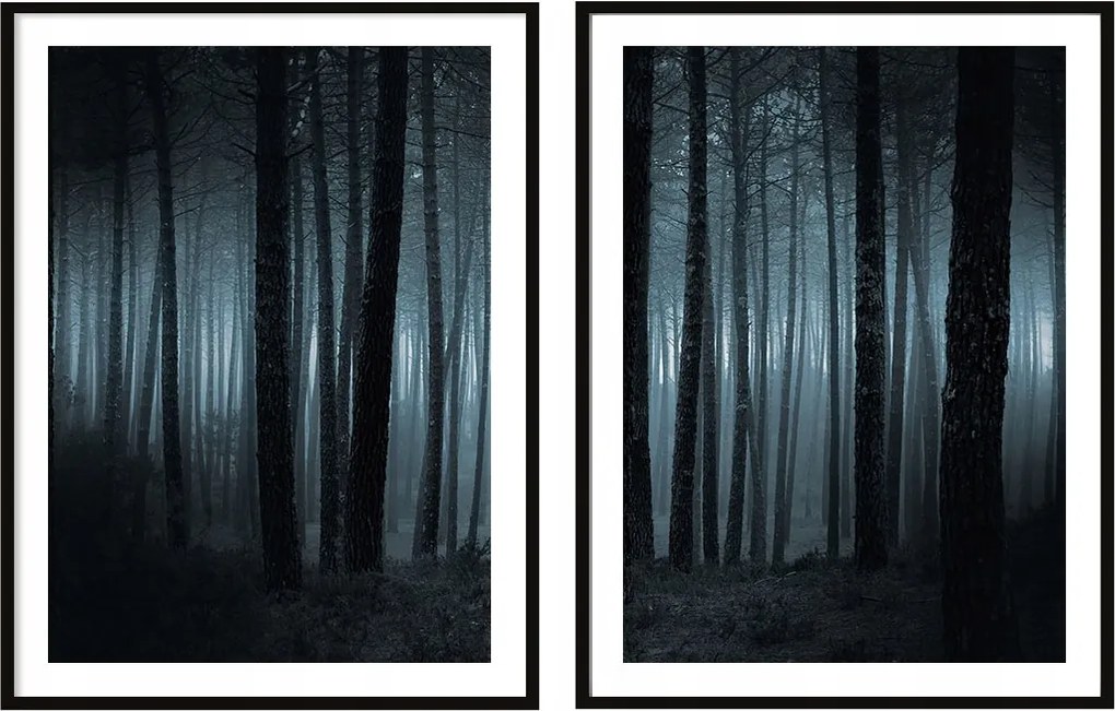 Obraz Plakáty V Rámu 53x73 cm Diptych Sada 2 obrazů Zakázaný les P290
