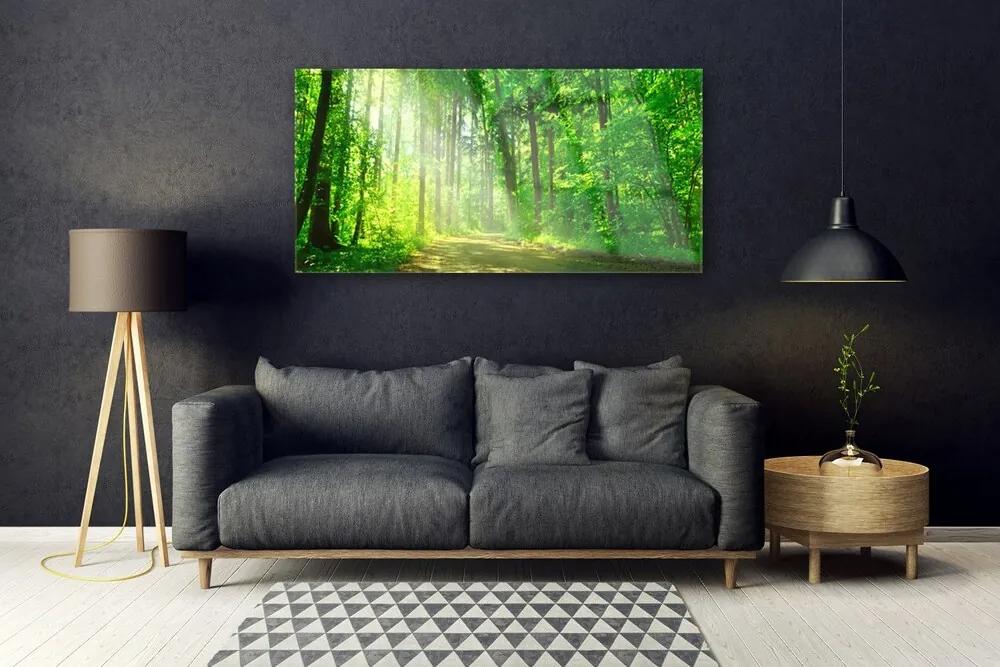 akrylový obraz Les Cestička Stromy Příroda 120x60 cm