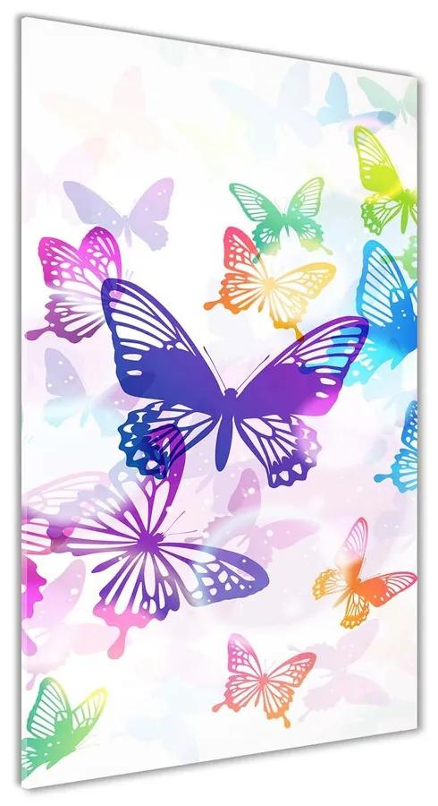 Wallmuralia Foto obraz akrylové sklo Barevní motýli 70x140 cm