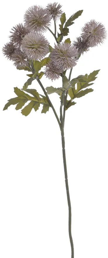 echinops 57 cm - růžová