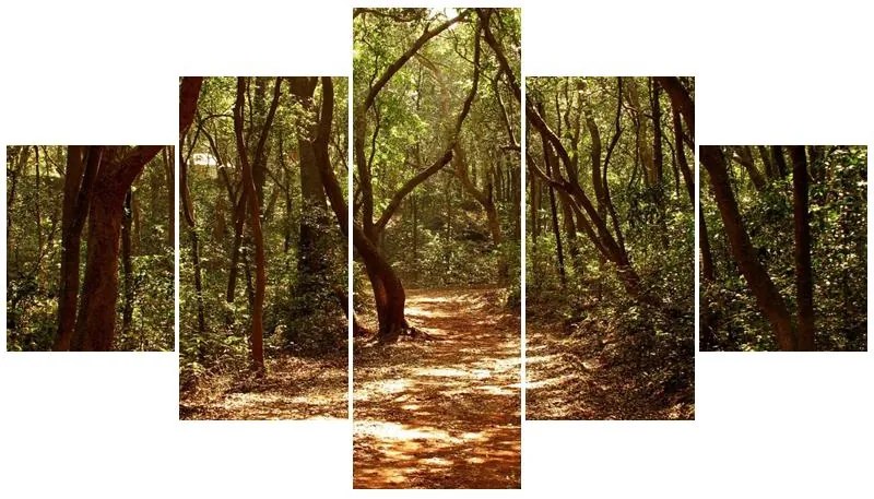 Obraz listnatého lesa (125x70 cm), 40 dalších rozměrů
