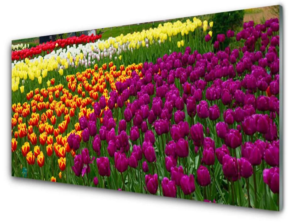 akrylový obraz Tulipány Květiny 125x50cm