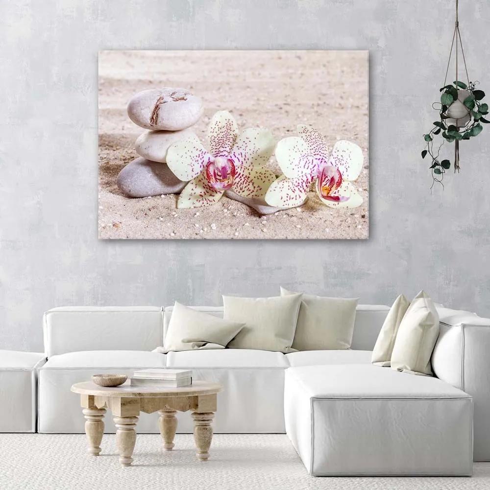 Gario Obraz na plátně Orchidej a kameny na písku Rozměry: 60 x 40 cm
