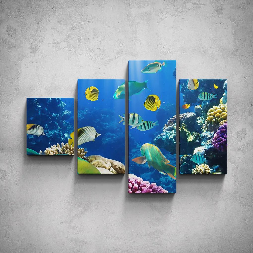 4-dílný obraz - Podmořský život - PopyDesign