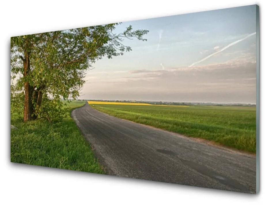 akrylový obraz Scesta Strom Tráva Krajina 120x60 cm