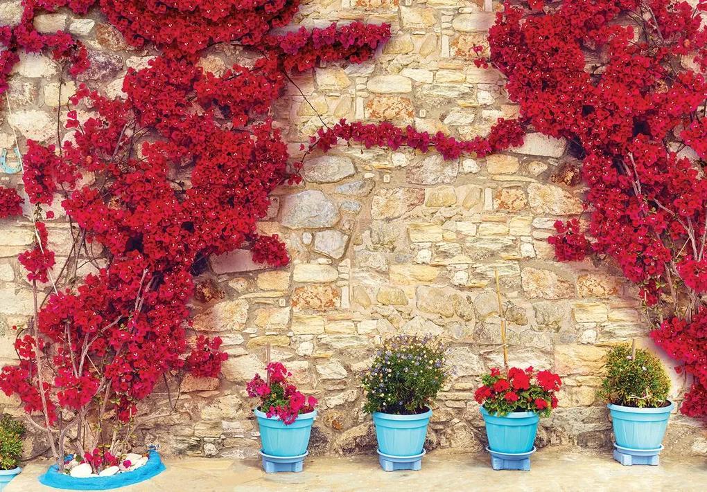 Fototapeta - Zeď s květinami (152,5x104 cm)