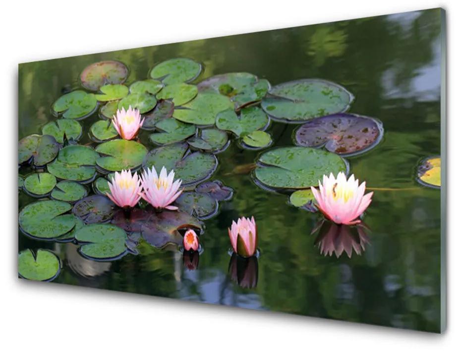 akrylový obraz Vodní Lilie Rybník Příroda 140x70 cm