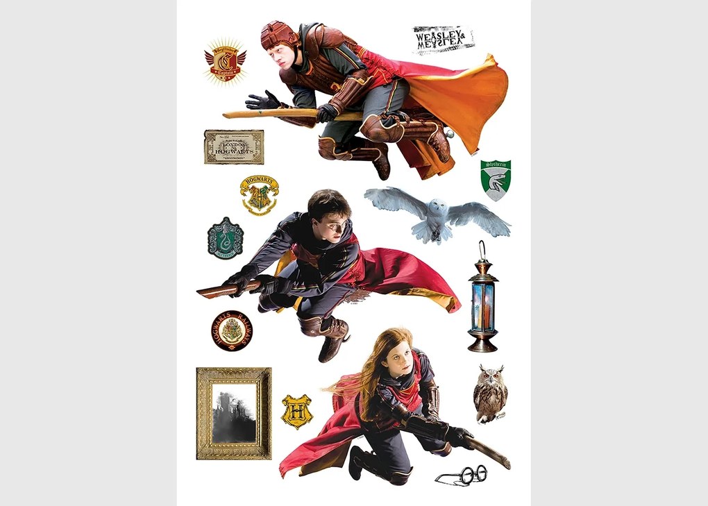 Dětská samolepka na zeď Harry Potter | 42.5 x 65 cm | DDK1645