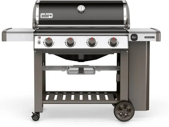 WEBER Genesis II E-410 GBS