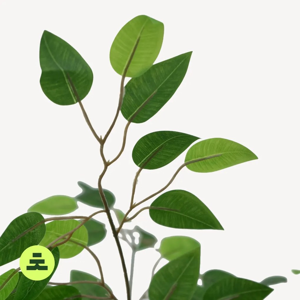 Umělý Ficus Vícepatrový 180 cm