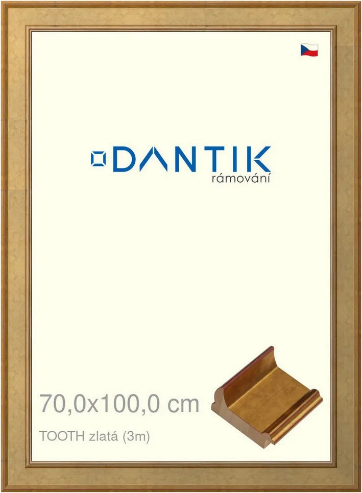 DANTIK rámeček 70x100 | TOOTH zlatá (Plexi Čiré)