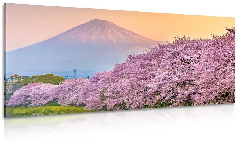 Obraz nádherné Japonsko Varianta: 100x50