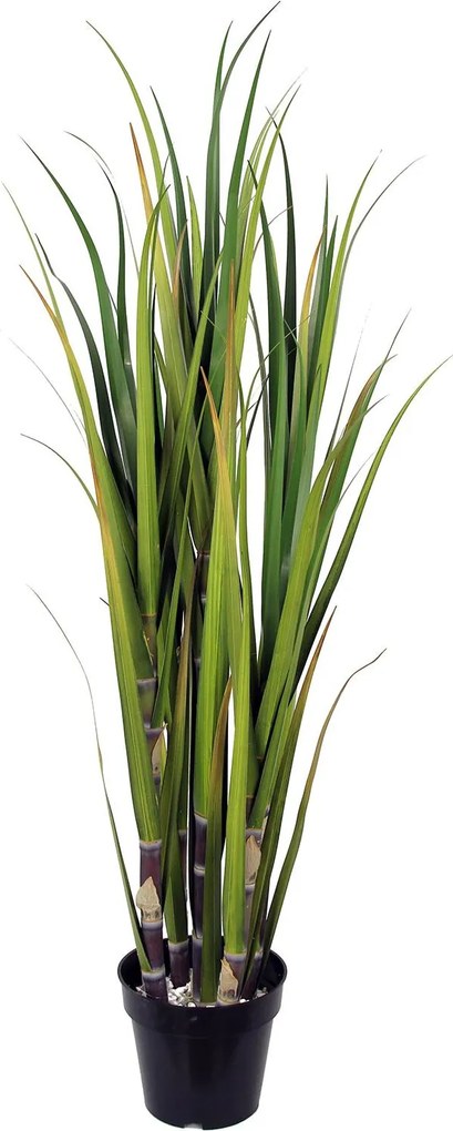 SUGARCANE - umělá tráva, 122 cm