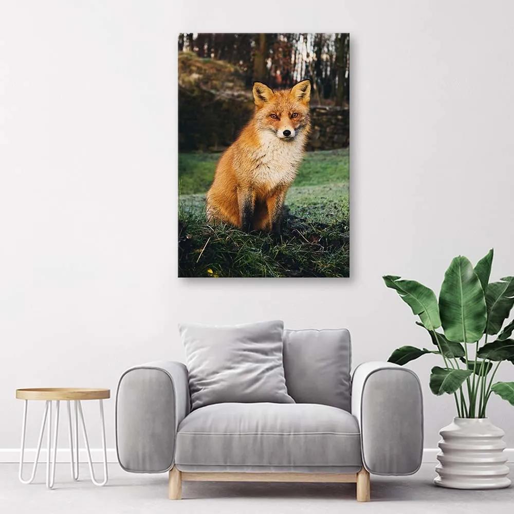Gario Obraz na plátně Liška v lese Rozměry: 40 x 60 cm