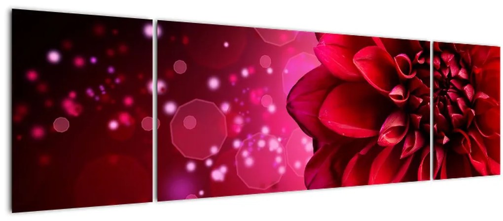 Obraz červené květiny (170x50 cm)