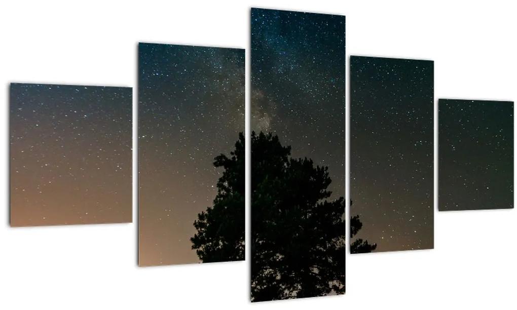 Obraz noční oblohy se stromy (125x70 cm)