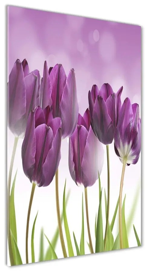 Wallmuralia Fotoobraz na skle Fialové tulipány 60x120 cm