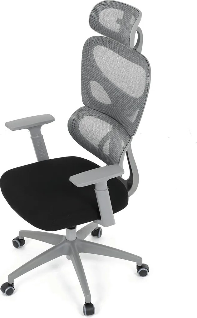 Ergonomická kancelářská židle RENEE - šedá síťovina / černá látka
