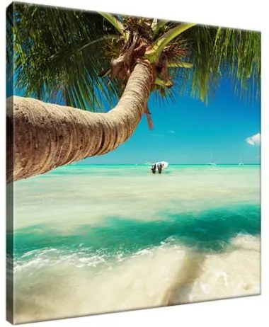 Tištěný obraz Pěkná palma u Karibského moře 30x30cm 3521A_1AI