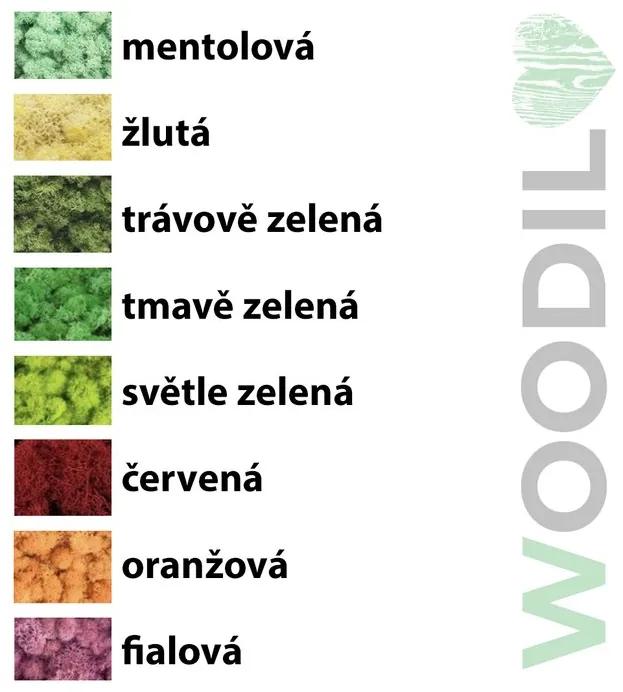 WOODILO Sobí mech v dřevěném květináči | přírodní Barva lišejníku: fialová, Průměr misky: 20 cm