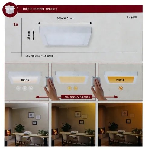 Paulmann 79801 - LED/13W Stropní svítidlo CARPO 230V 2300/2500/3000K