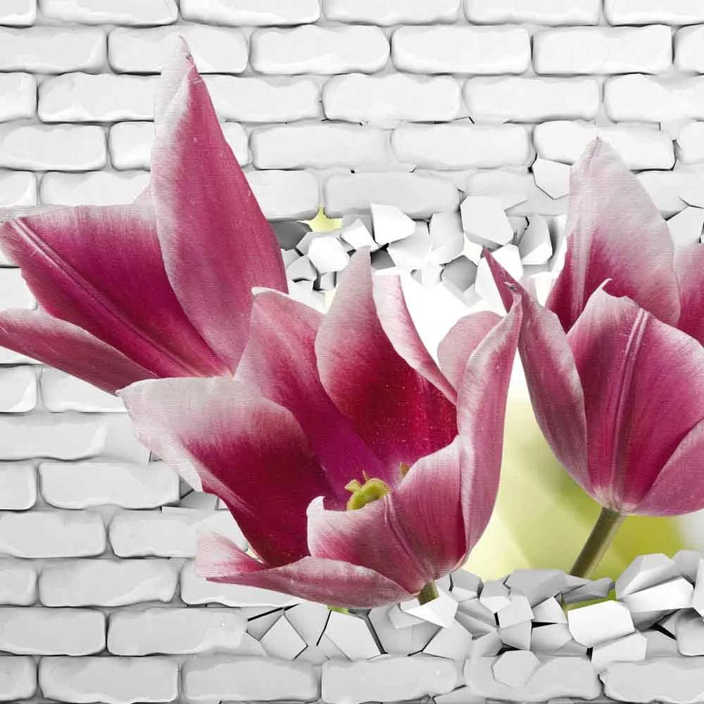 3D obraz tulipány Velikost (šířka x výška): 150x100 cm