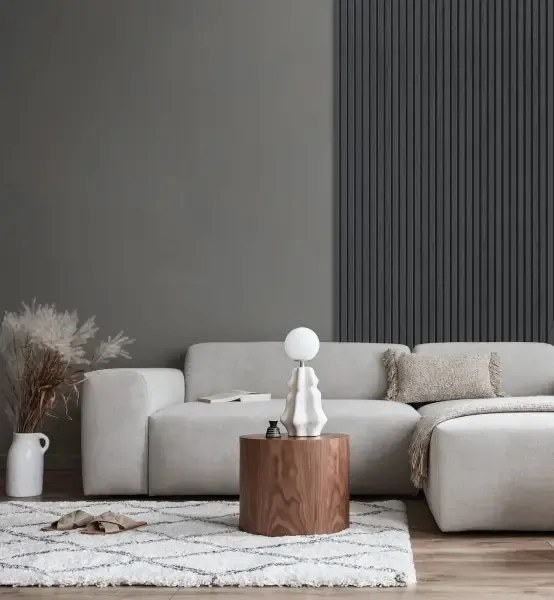 Lamelio Veneer Akustic Graphite