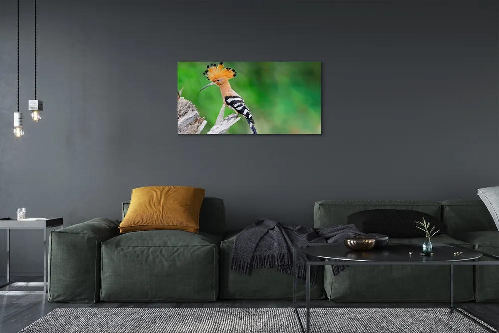 Obrazy na plátně Strom barevný papoušek 140x70 cm