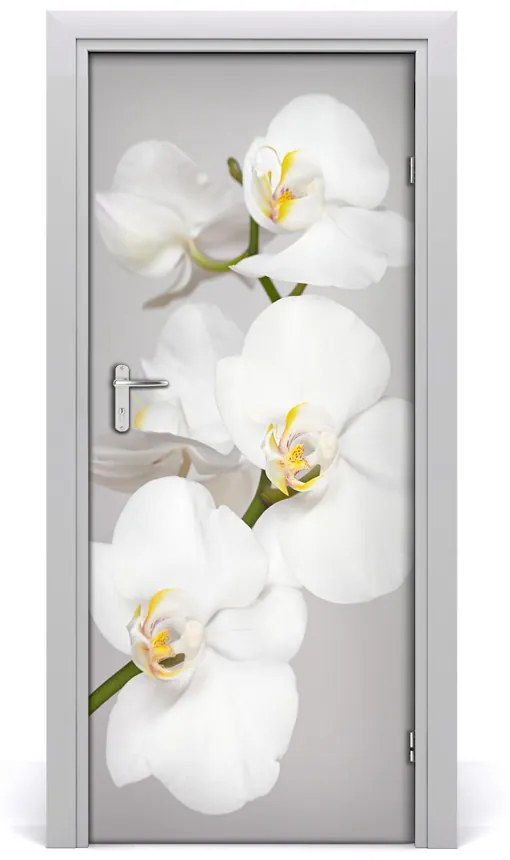 Fototapeta na dveře Bílá orchidej 75x205 cm