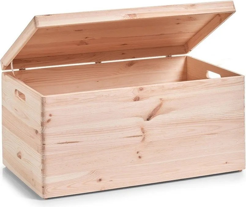 Skladovací kontejner s víkem, organizátor 58 l, ZELLER