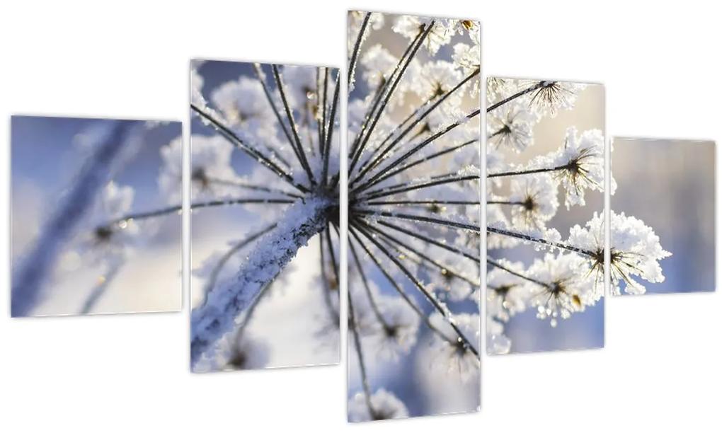 Obraz - Zmrzlý květ (125x70 cm)