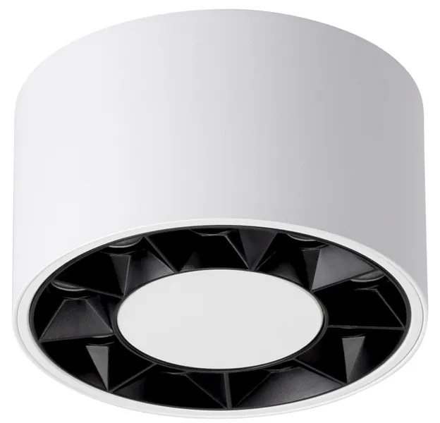 Stropní LED svítidlo Dio, 1x LED 10w, 4000k, w