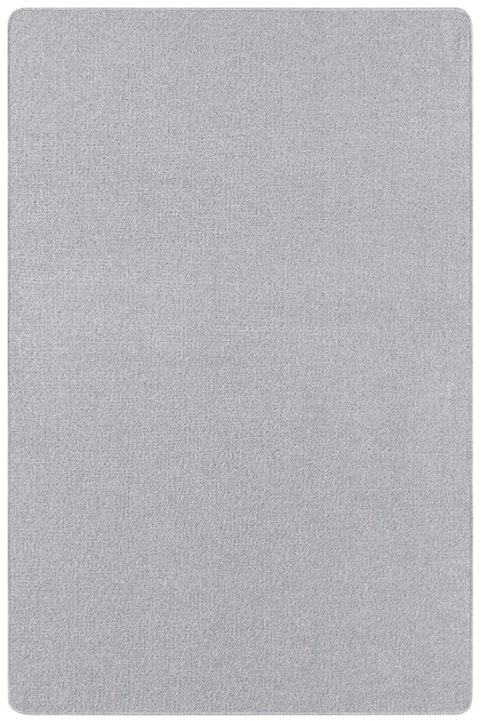 Hanse Home Collection koberce AKCE: 80x200 cm Kusový koberec Nasty 101595 Silber - 80x200 cm