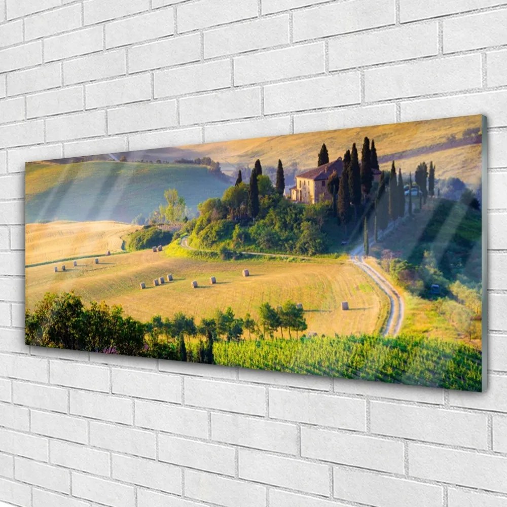 akrylový obraz Pole Stromy Krajina 125x50 cm