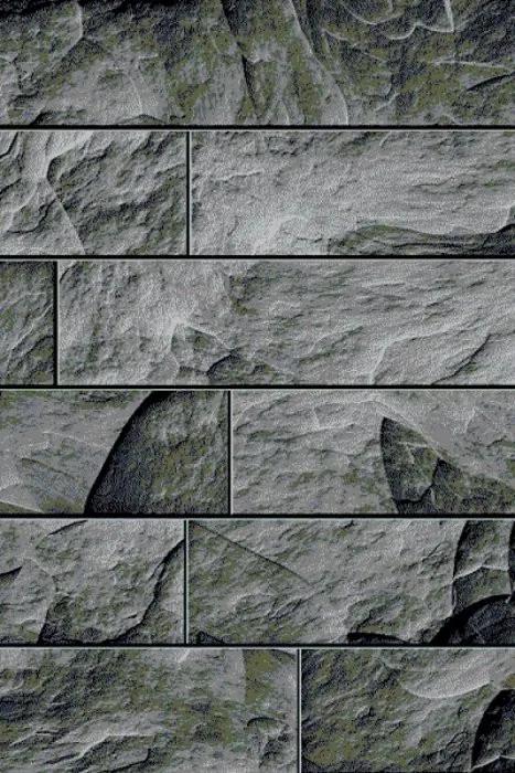 Vopi | Kusový koberec Parma 9250 black - 200 x 290 cm