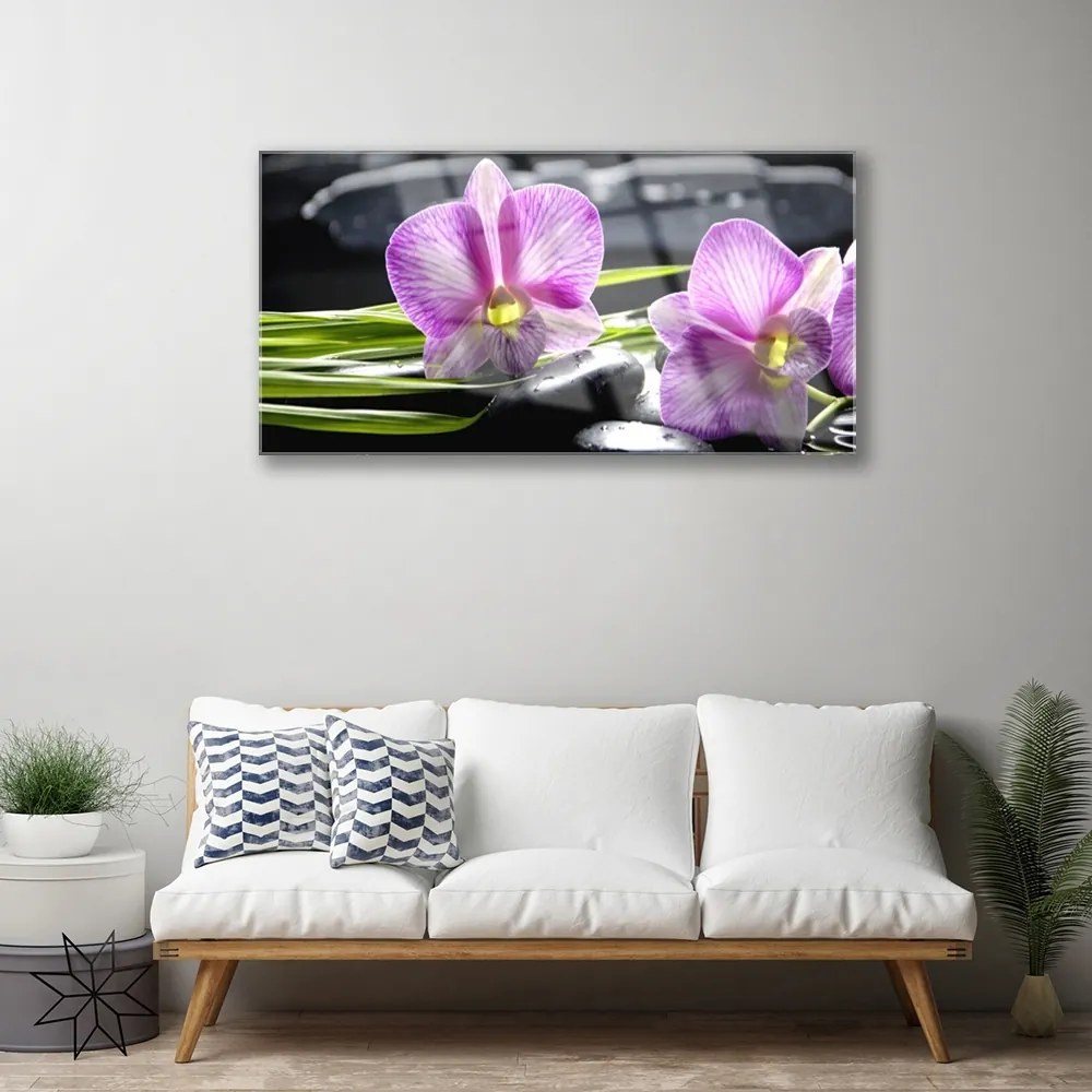 Plexisklo-obraz Orchidej Kameny Zen Lázně 100x50 cm