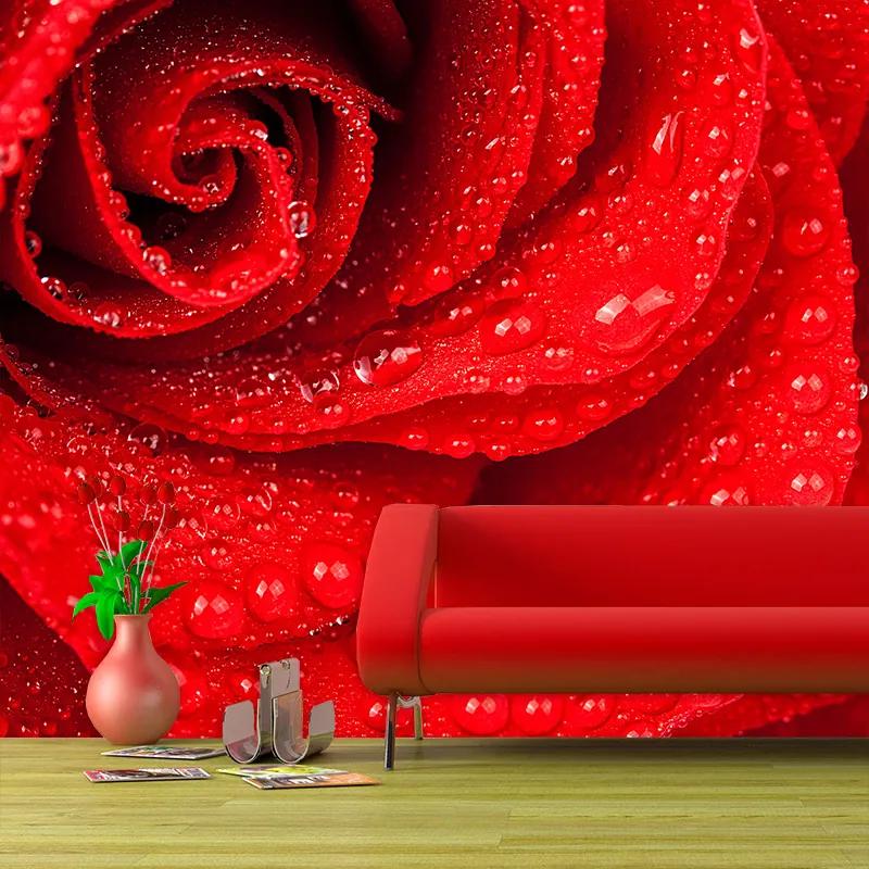 Tapeta SABLIO -  Květ růže 336x220 cm