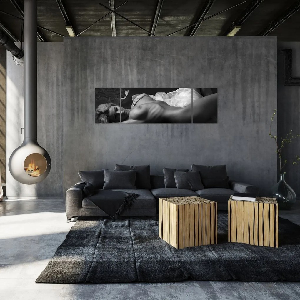 Obraz - Akt ležící ženy (170x50 cm)