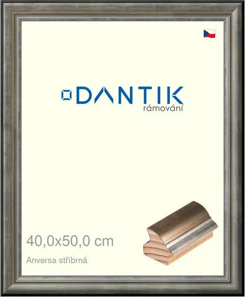 DANTIK rámeček 40x50 | ANIVERSA stříbrná (Plexi Čiré)