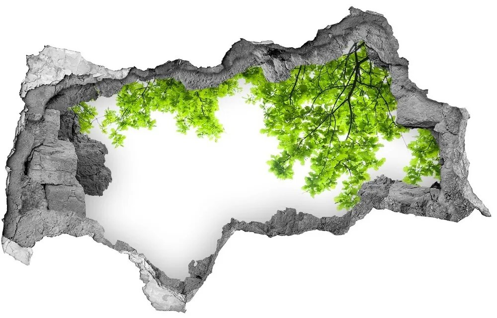 Wallmuralia Samolepící díra nálepka Listí dubu 95x73 cm