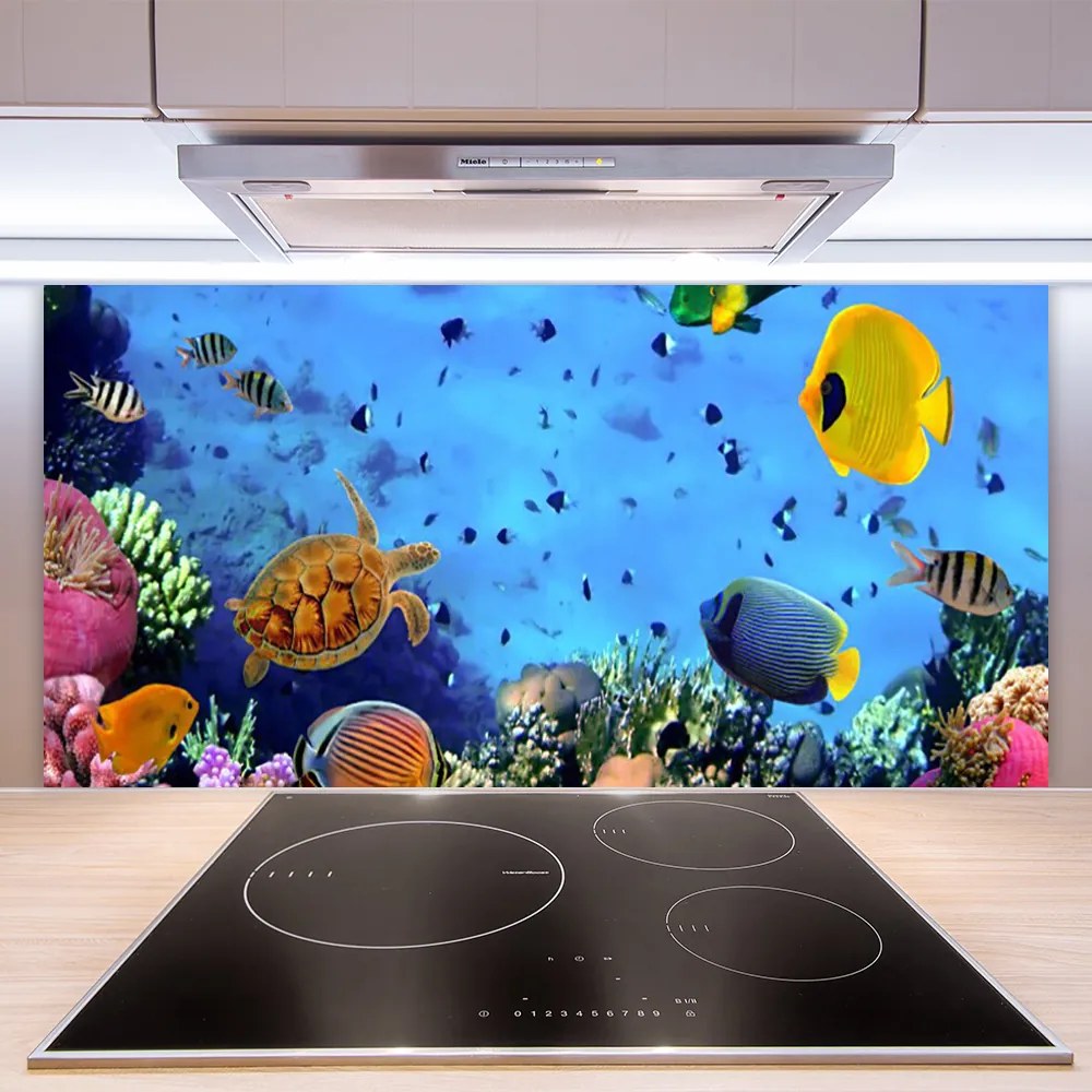 Kuchyňský skleněný panel Korálový Útes Ryba Příroda 140x70 cm