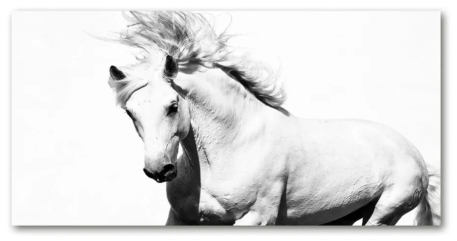 Wallmuralia Foto obraz akryl svislý do obýváku Bílý kůň 140x70 cm