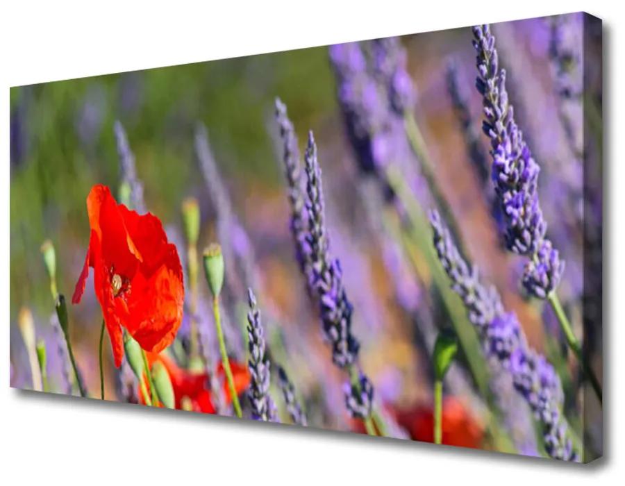 Obraz na plátně Květiny Rostlina 100x50cm
