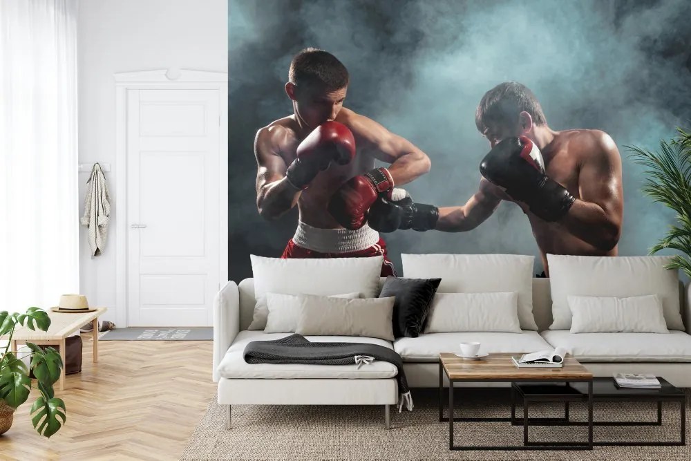 Fototapeta Profesionální Zápas Boxera Hladký vinyl 368x254