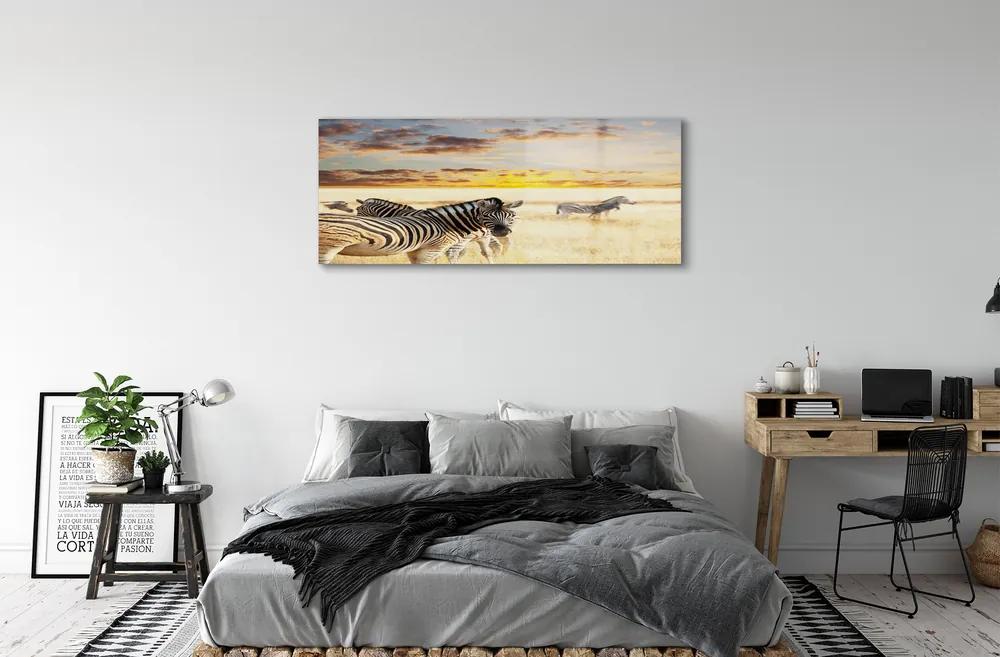 akrylový obraz Zebry pole sunset 120x60 cm