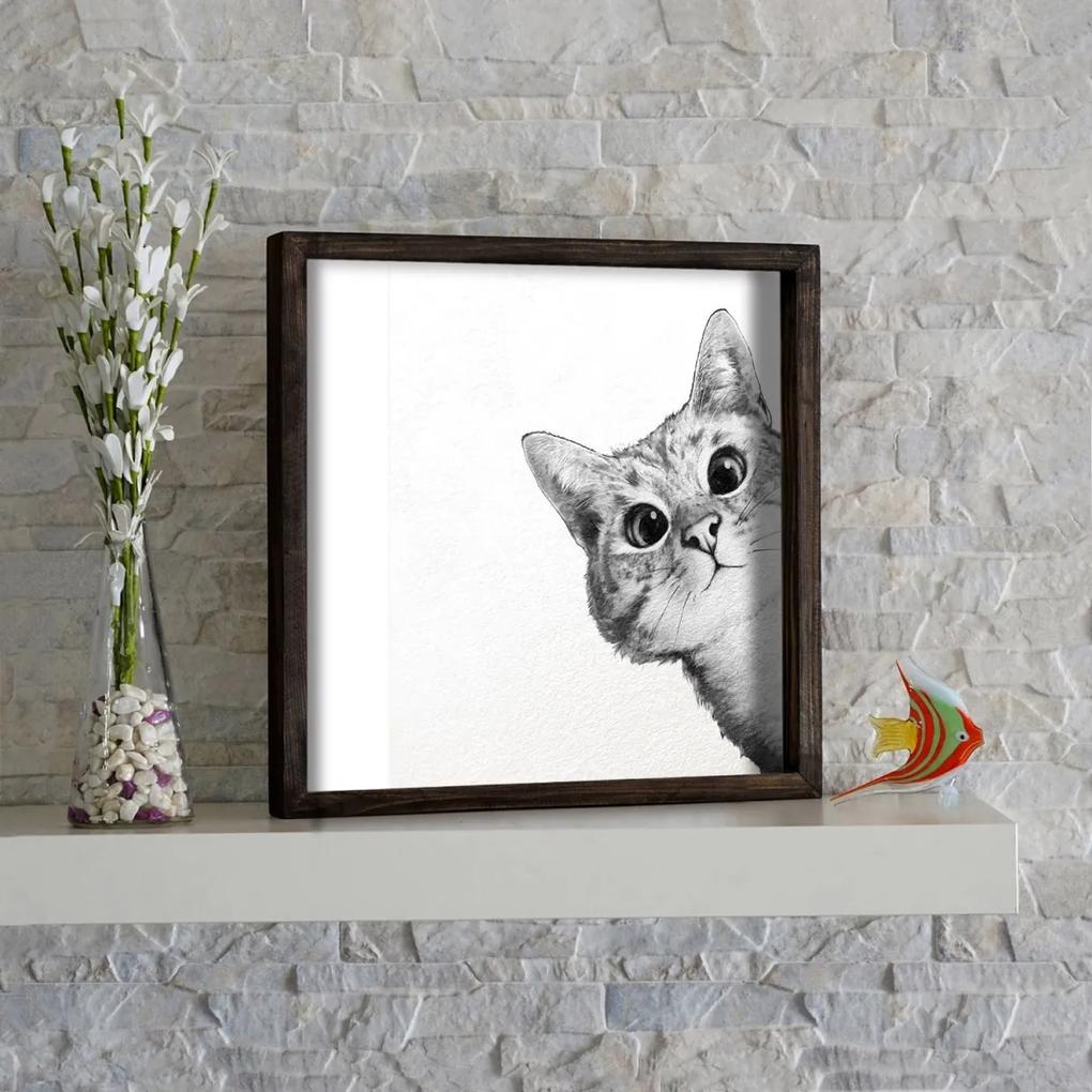 Nástěnný obraz Cat 33x33 cm černobílý