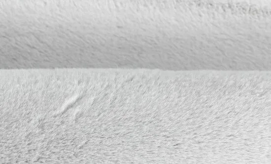 BO-MA, Kusový koberec Rabbit new 08 grey, 80x150, šedá, ložnice