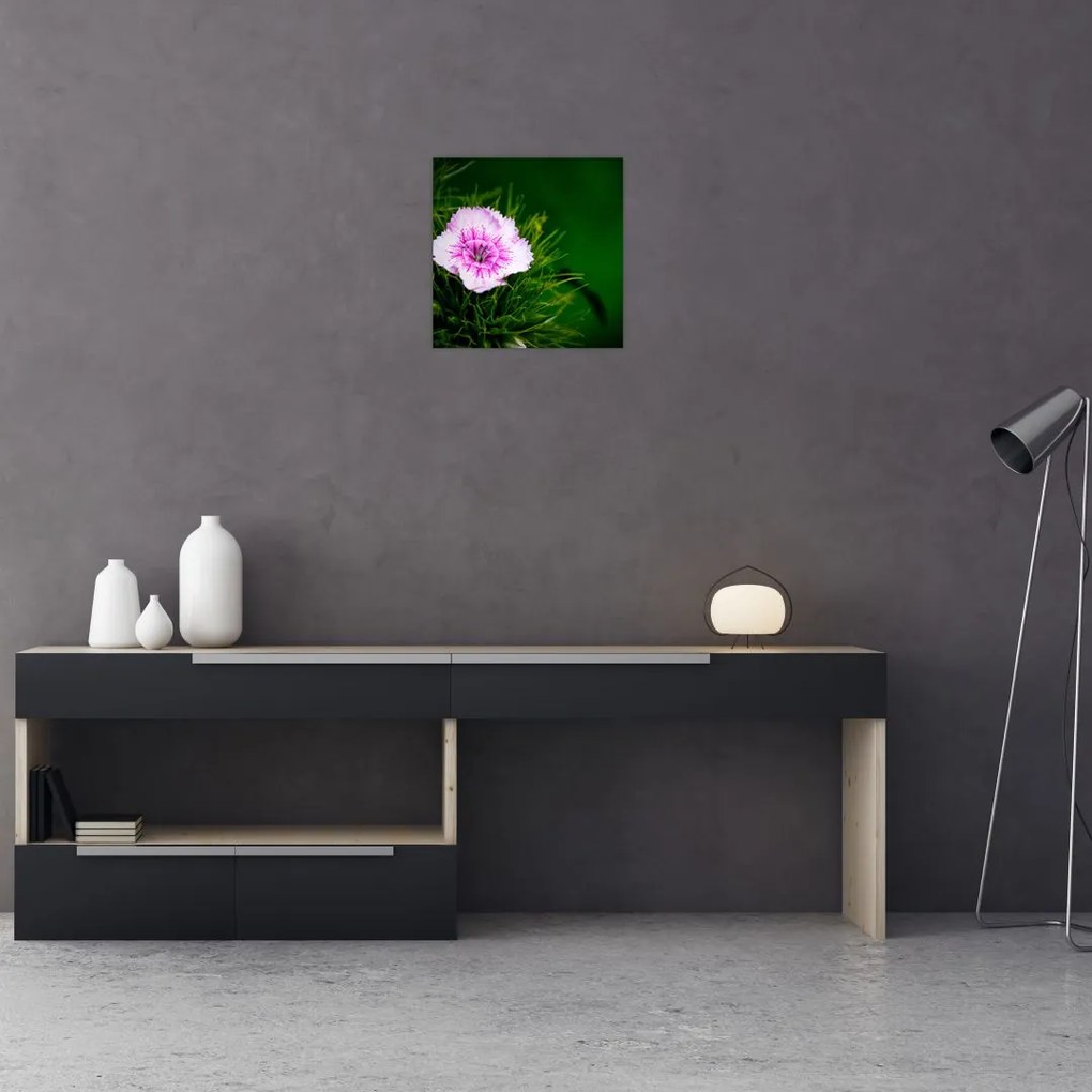 Obraz růžového květu (30x30 cm)