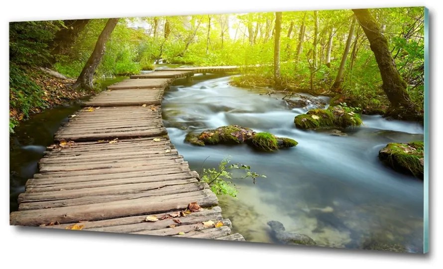 Wallmuralia Foto obraz fotografie na skle Stezka nad řekou 100x50